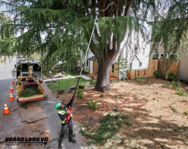 Máy cưa xích thân dài M18 FTP30 MILWAUKEE