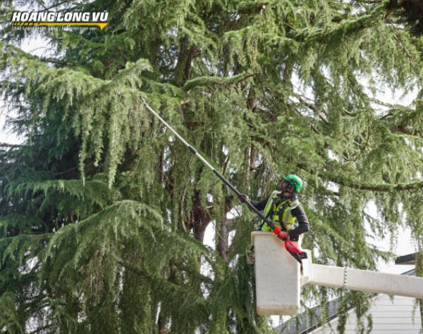 Máy cưa xích thân dài M18 FTP30 MILWAUKEE